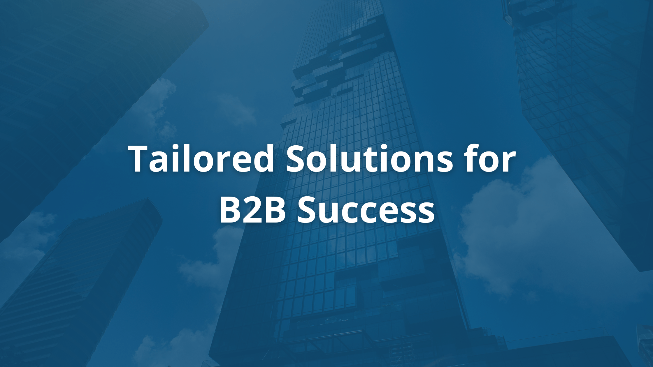Tailored B2B Strategies for Growth and Success